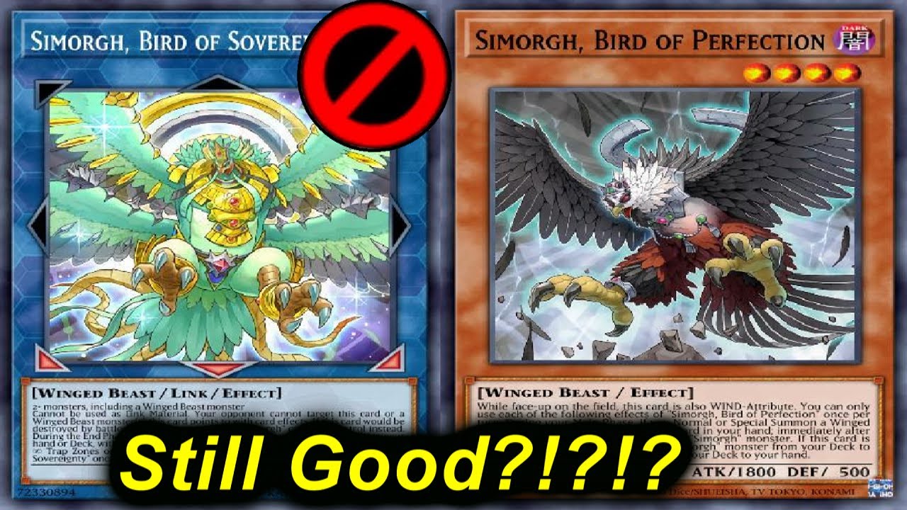【YGOPRO】STILL GOOD AFTER BANLIST?? R.I.P. BARRIER STATUE.... SIMORGH ...