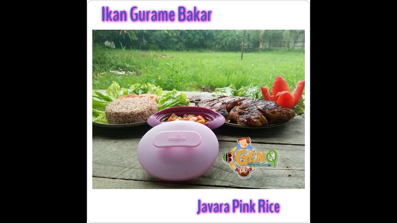 Resep Cara Membuat Ikan Gurame Bakar | Vienta | Javara pink rice - YouTube