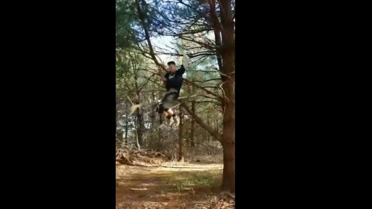 Tree Branch Jump Fail - YouTube