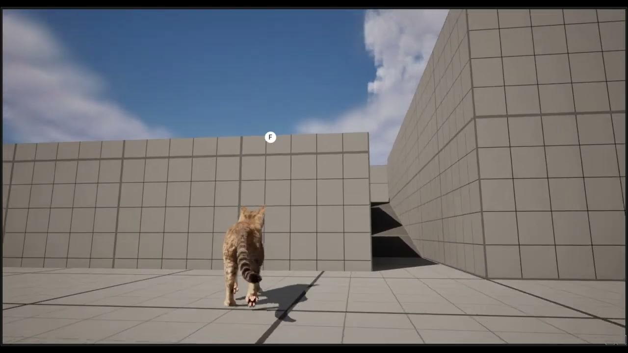 Unreal Engine 5 Root Motion Animal Cat Controller - YouTube