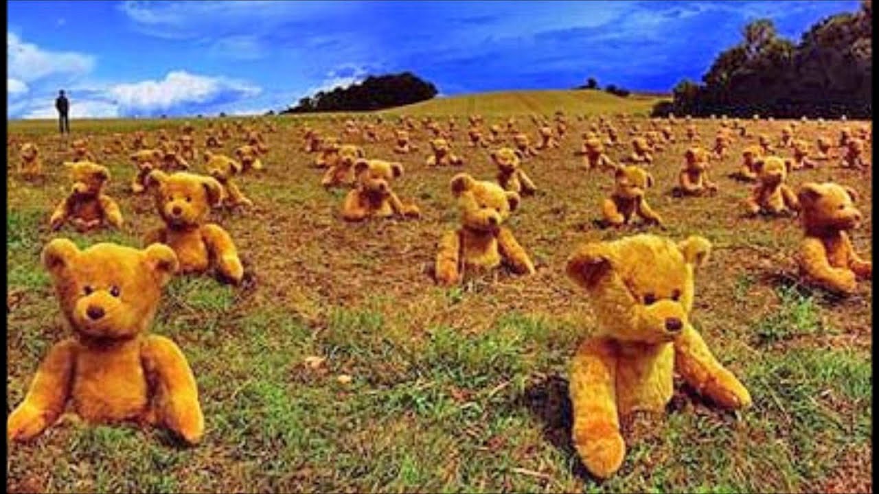 The Wok - Bears, Bears Everywhere! - YouTube