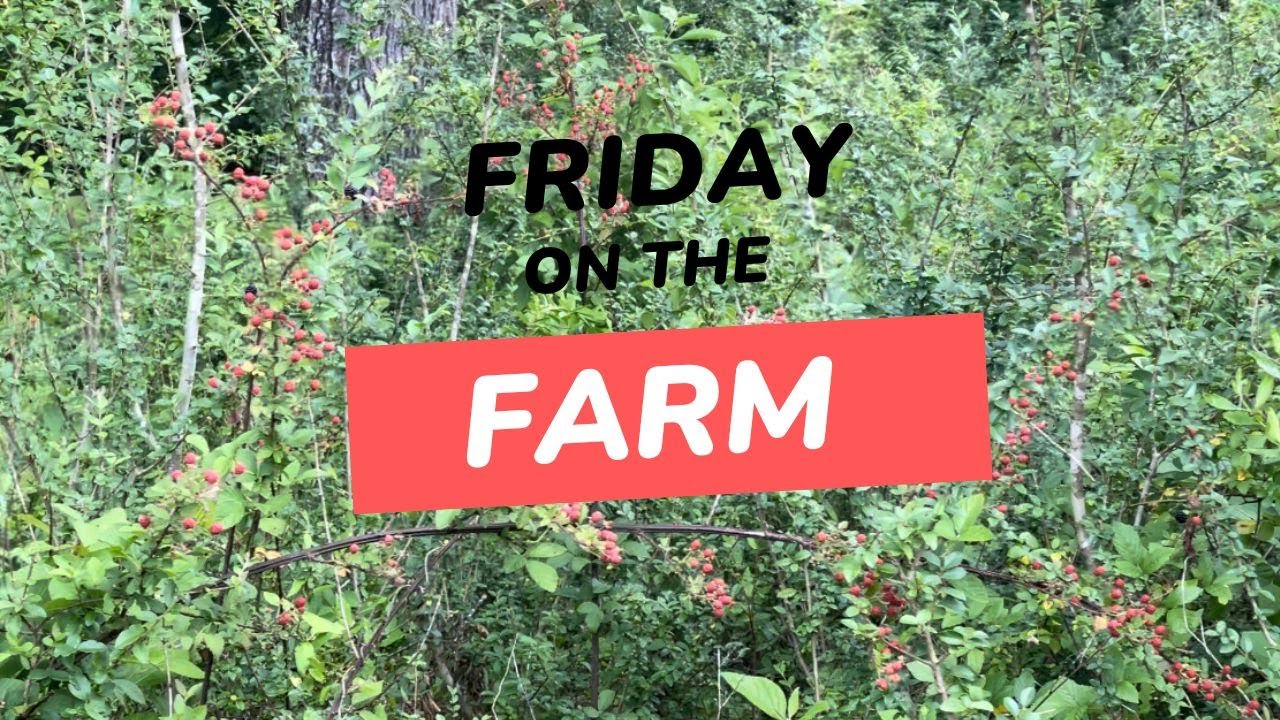 What"s Going on in the Garden! Garden & Farm Tour - Friday on the farm ...