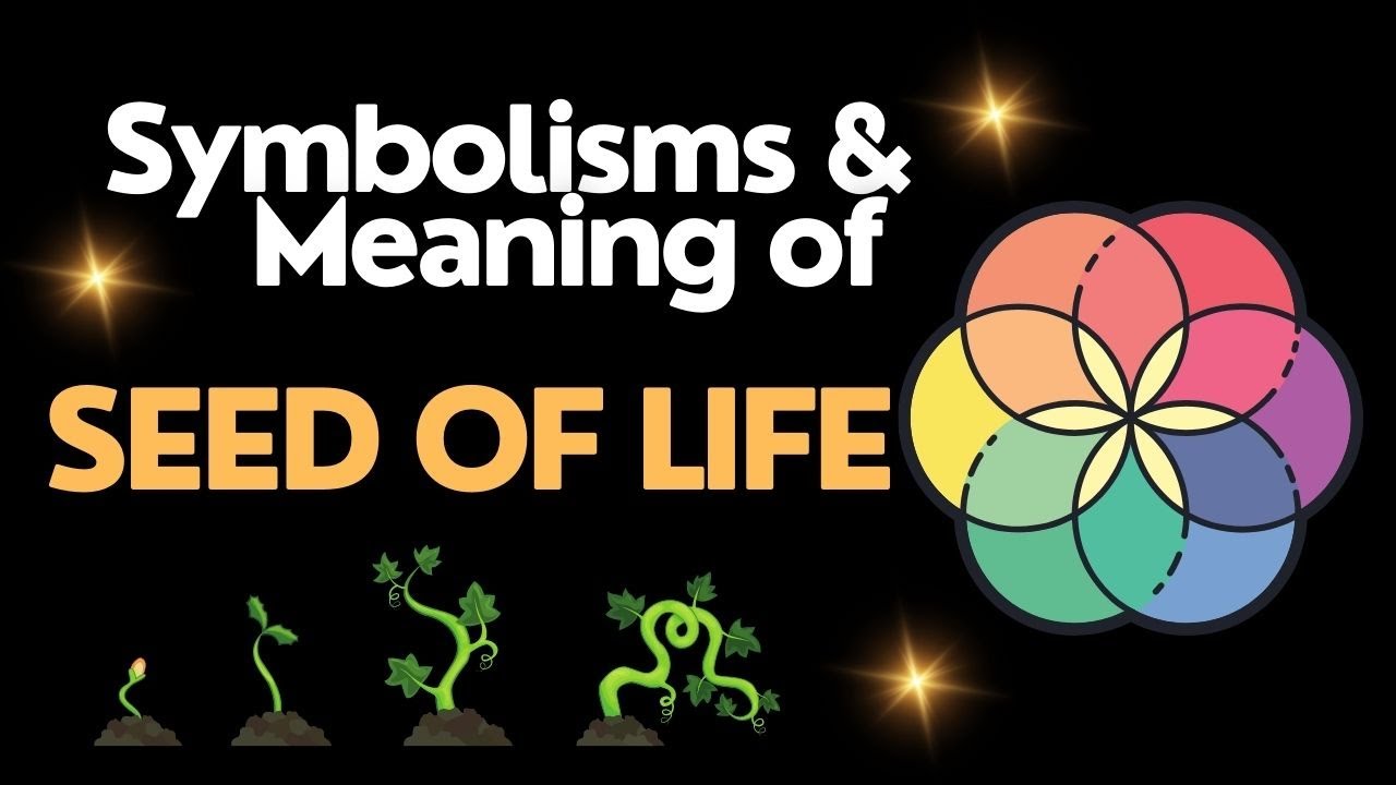 🌱🌱Unveiling the Seed of Life: A Journey into Sacred Geometry and ...