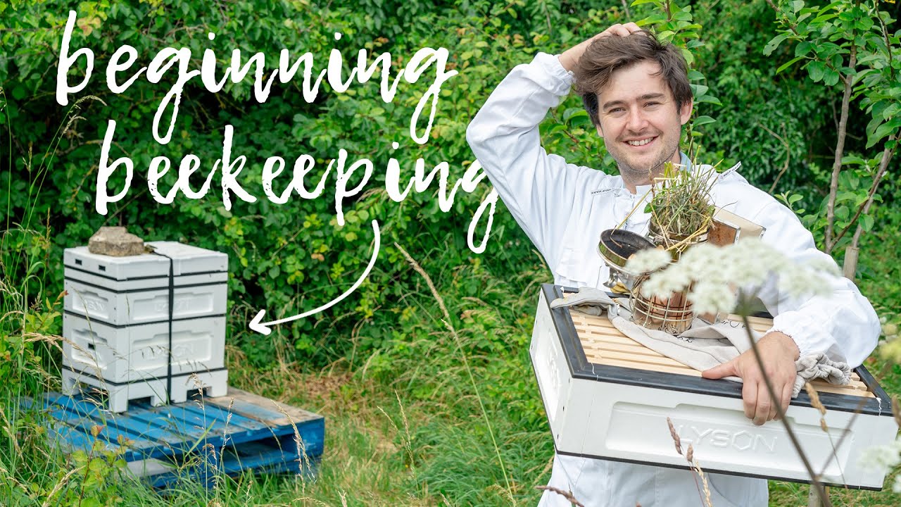 I've started beekeeping... - YouTube