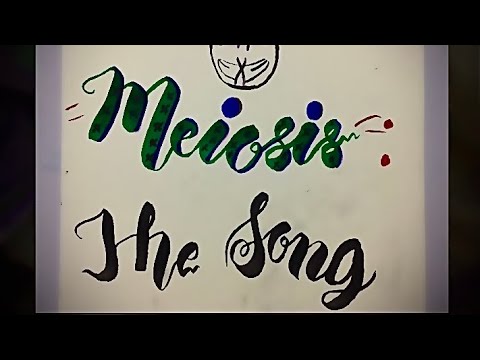 Meiosis : The Song | Easily remember all the stages! - YouTube