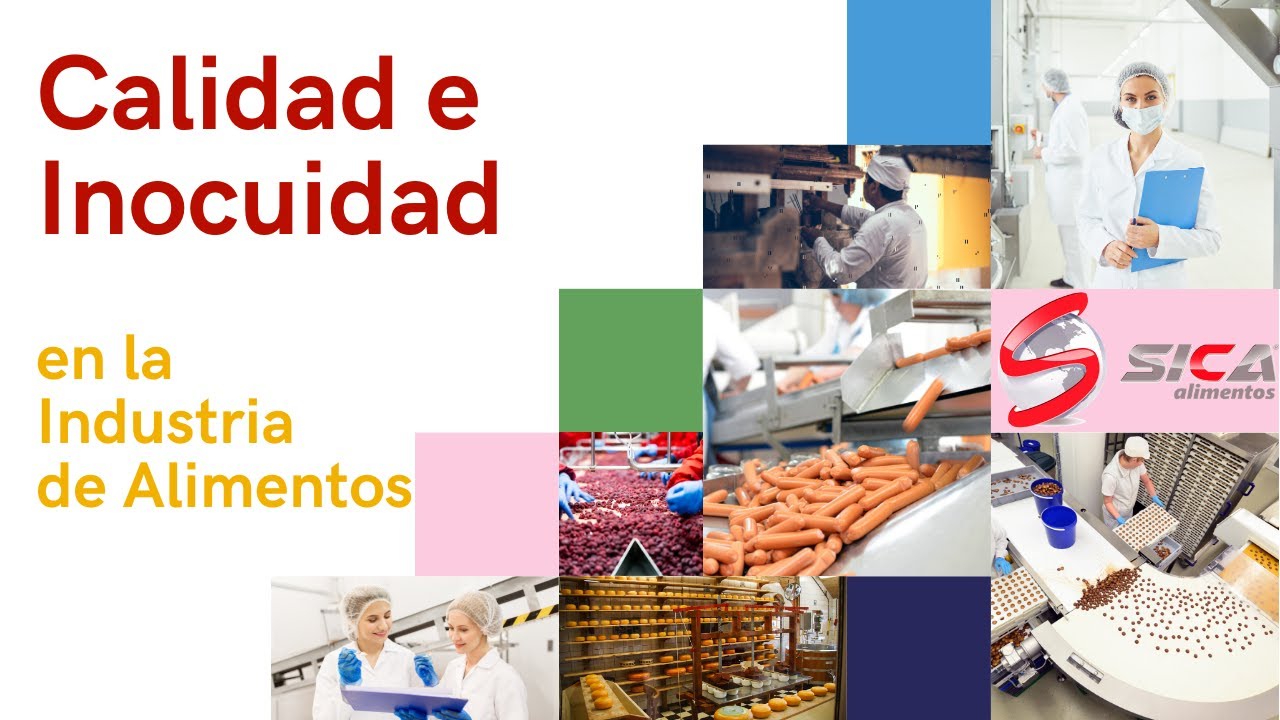 Calidad e Inocuidad en la Industria de Alimentos - YouTube
