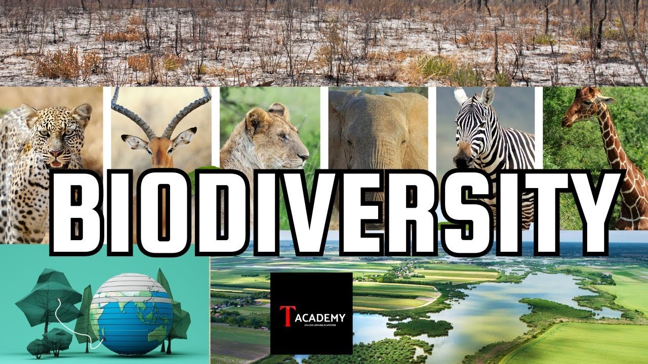 Biodiversity: The Web of Life and Why It Matters | T-Academy - YouTube