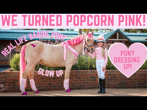 WE TURNED POPCORN PINK!! PONY DRESSING UP * HORSE MAKEOVER *
