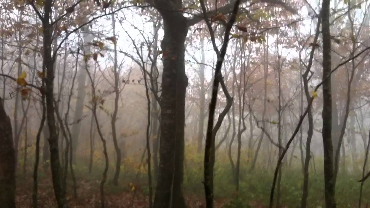 Great Smoky Mountains Silers Bald Shelter Appalachian Trail - YouTube