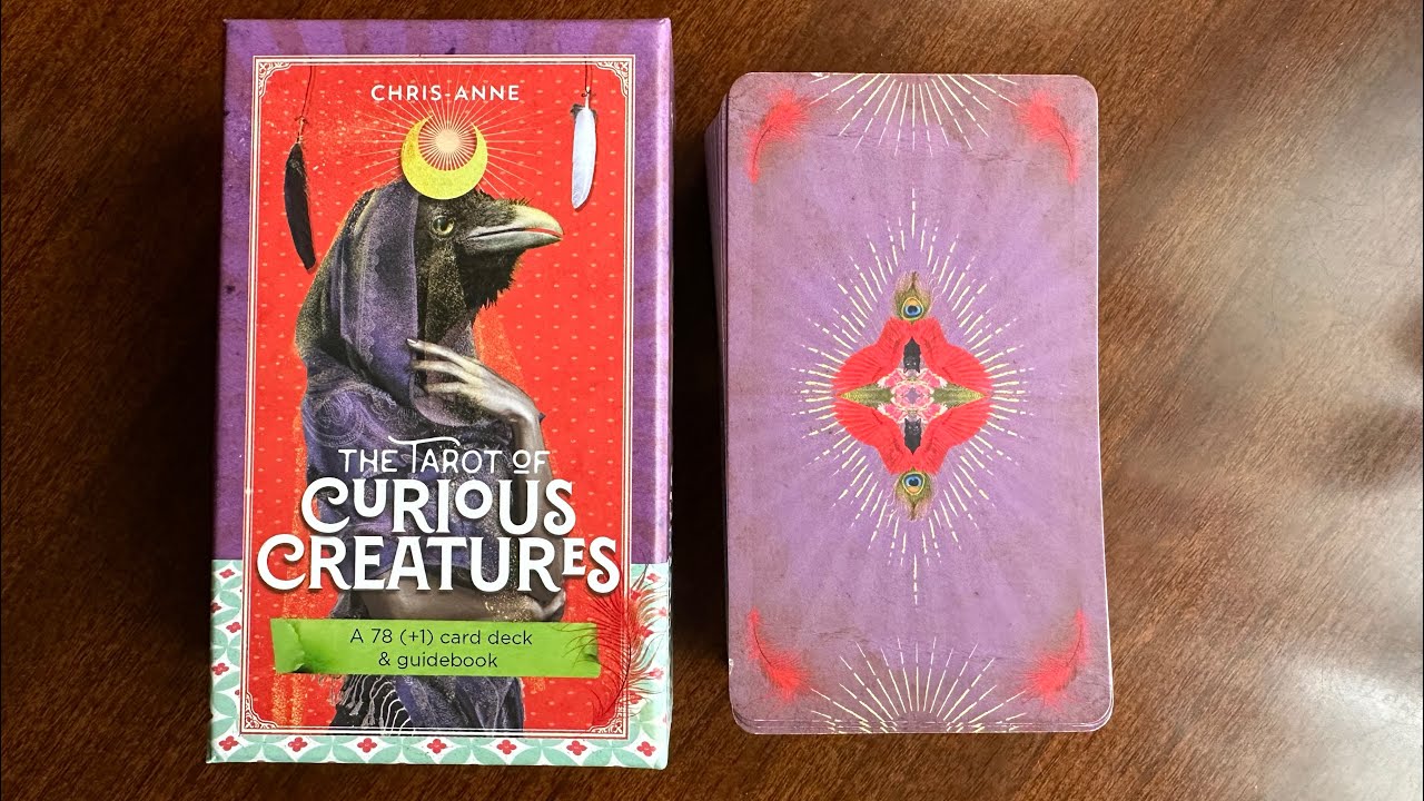 Honest Tarot Deck Review: The Tarot of Curious Creatures by Chris Anne ...