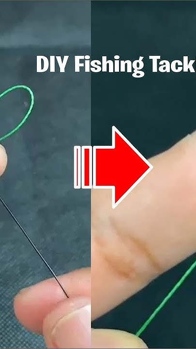 Fishing Tackle The Secret Of Fisherman Best Fishing Tackle for Free! Fishing Skills DIY for ...