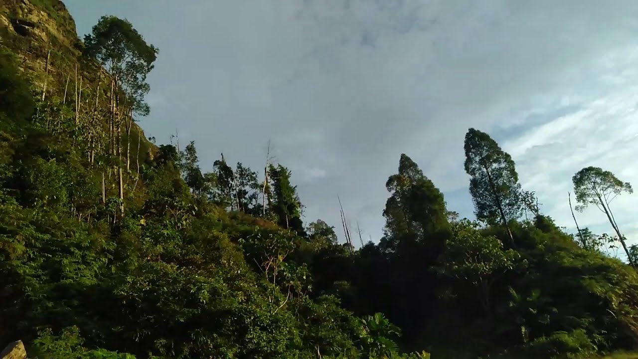 keindahan alam indonesia#Edi Suryadi - YouTube