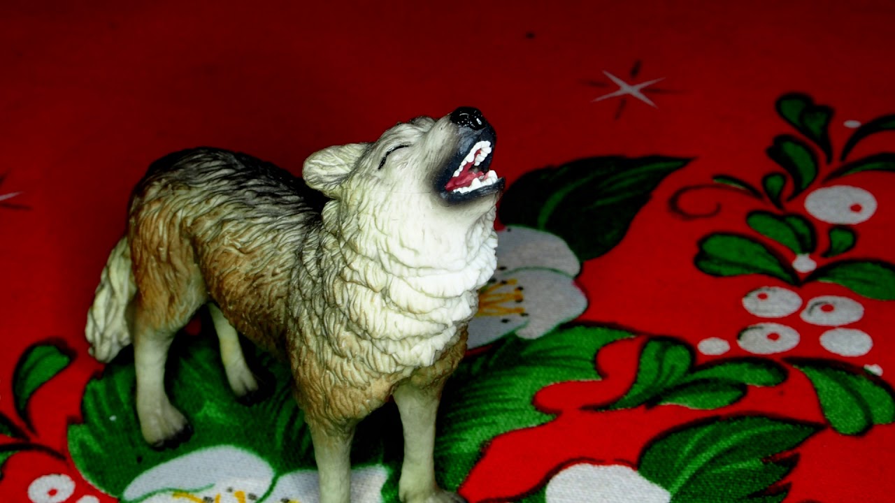 Singing Wolf, By Mich 2020 - YouTube