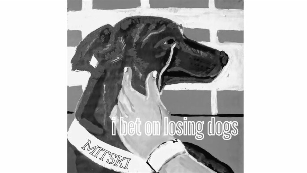 I bet on losing dogs - Mitski (Male Cover) - YouTube