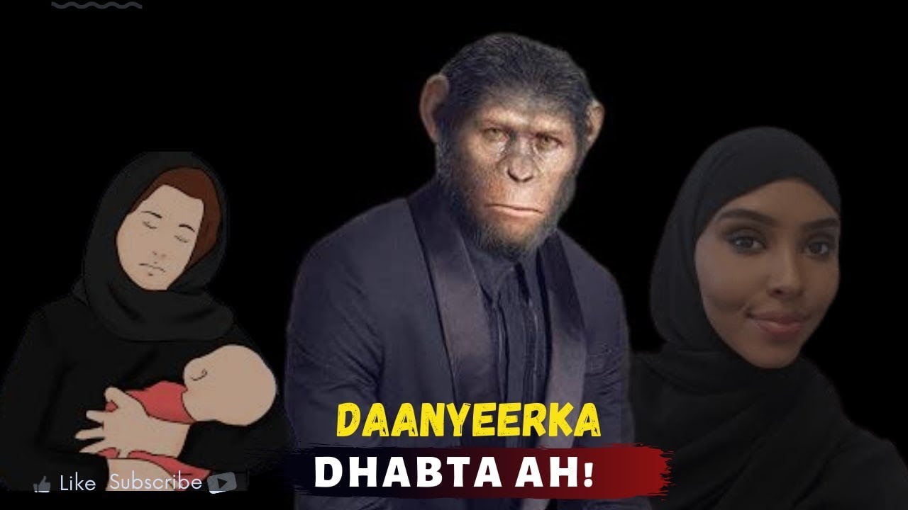 Daanyeer 🐒 mise raganimo 👨 | sifooyinka daanyeerka dhabta ah! - YouTube