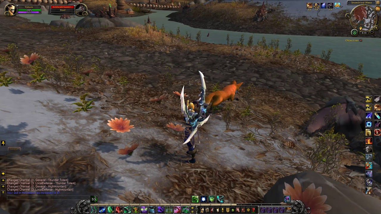 Flower fox (World of Warcraft) - YouTube