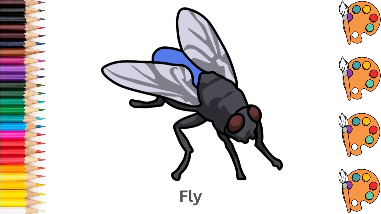 Fly - Sketch Art and Paint | Step by step tutorial | Pencil to Palette ...