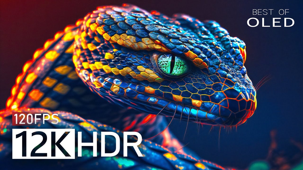 BEST OF OLED 12K HDR 120FPS - DOLBY VISION - YouTube
