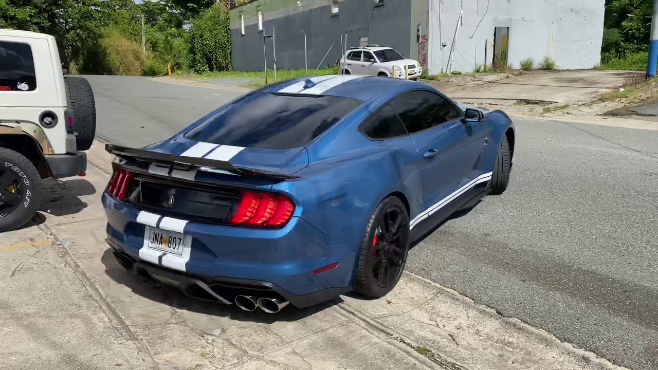 Mustang cobra 🐍 2020 puerto rico - YouTube