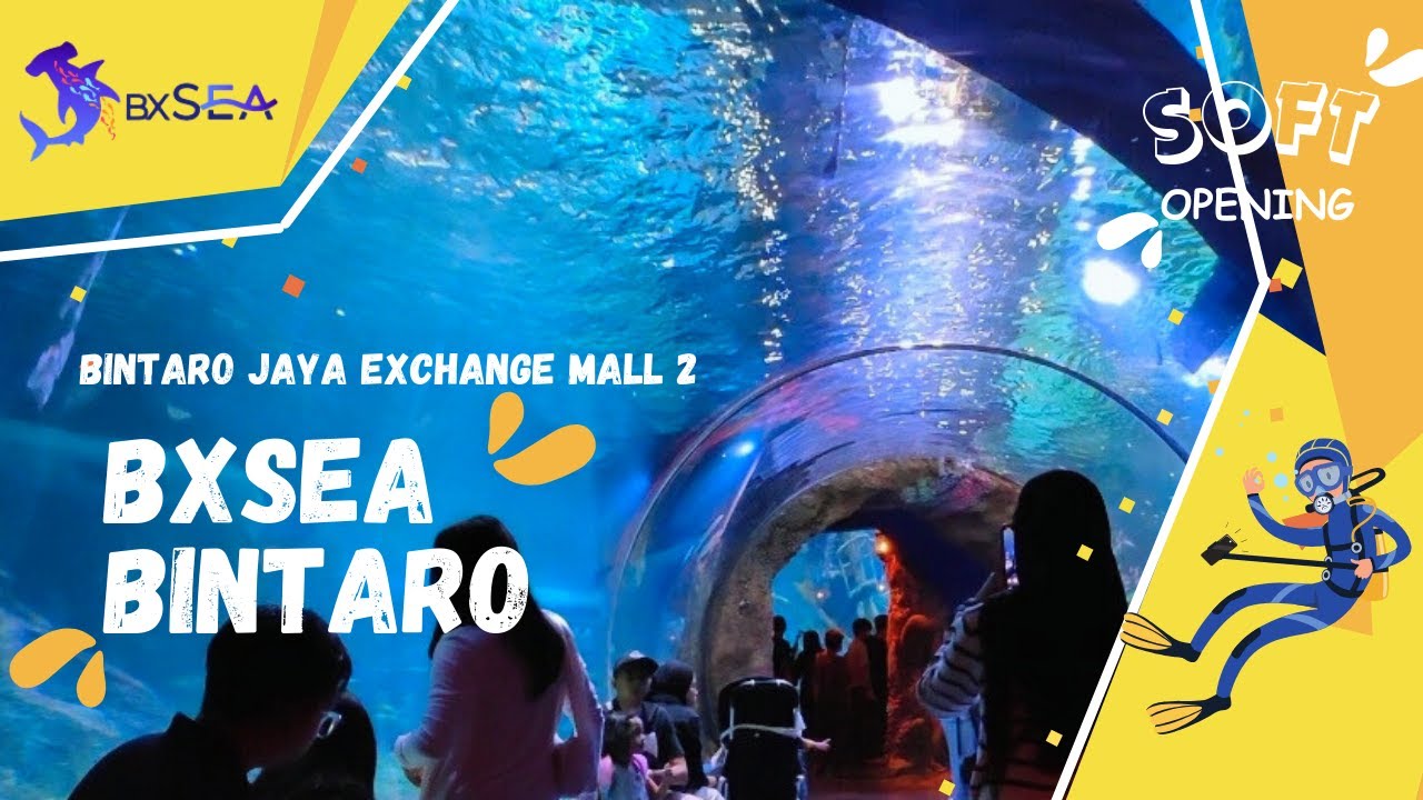 Jelajahi Bxsea Bintaro | Aquarium Terbesar Di Tangsel | Bintaro Jaya ...