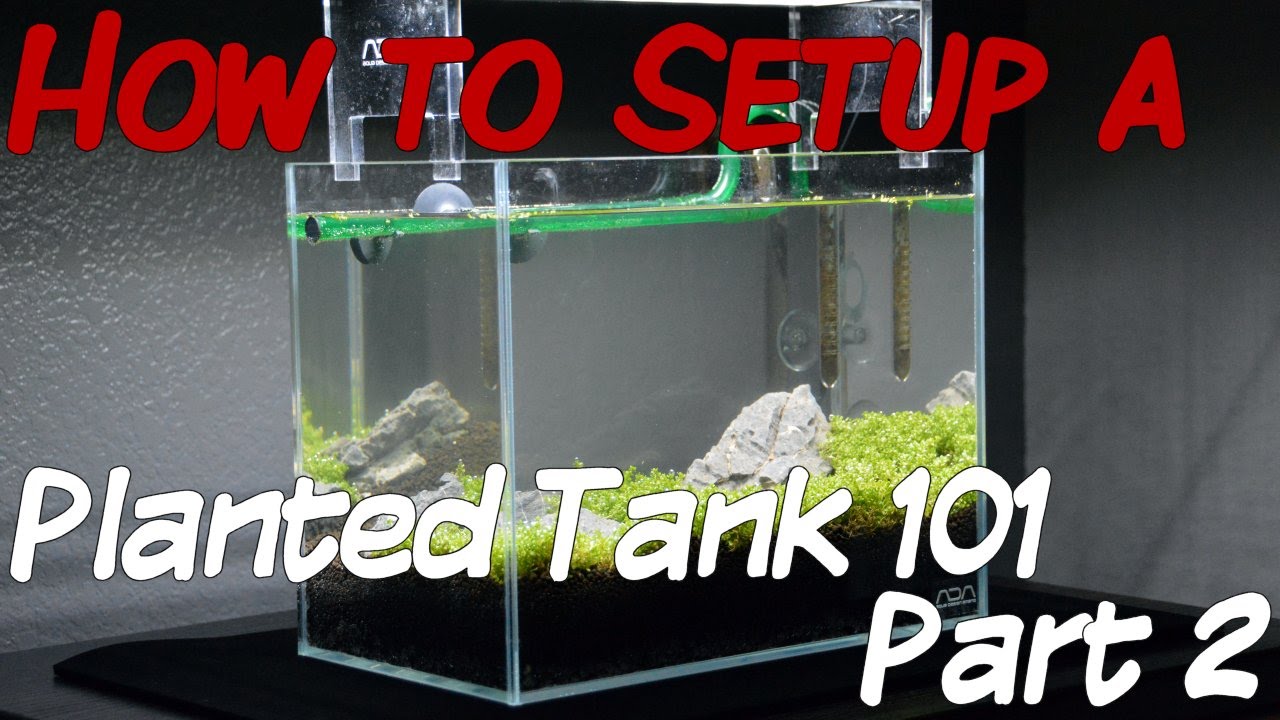 How to Setup a Planted Tank 101 - Part 2 - YouTube