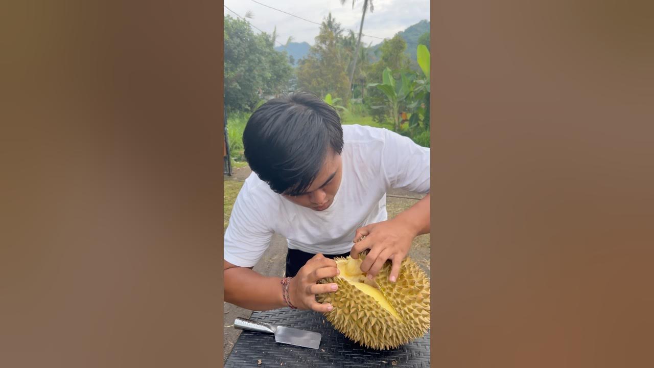 Durian montong berat 4 kilo #doniartawan - YouTube