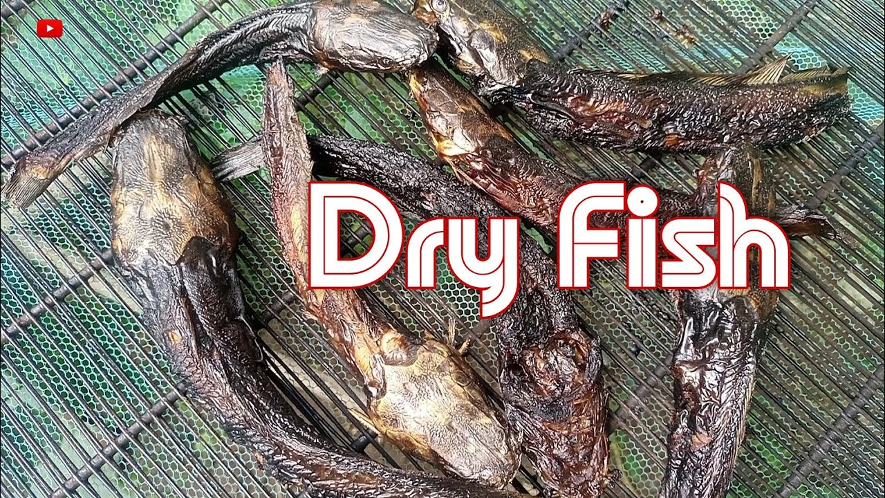 BEST DIY DRY STRAIGHT CATFISH (FAST AND SIMPLE, FULL DETAIL) - YouTube
