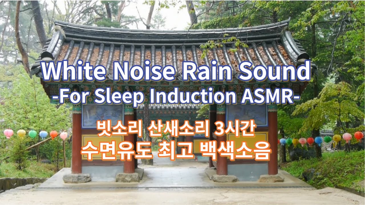 기와위 빗소리 ‐ 빗소리와 산새소리가 마음을 촉촉하게 젖어들게 합니다 수면유도 백색소음 빗소리 Asmr Youtube