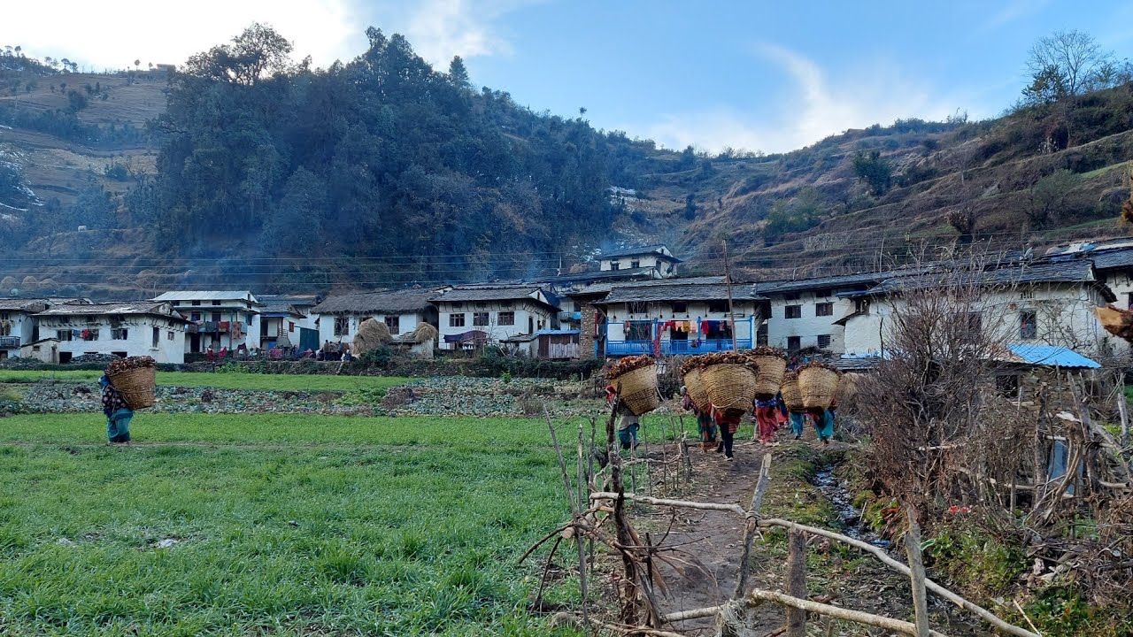 Very Simple and Beautiful Nepali Mountain Village Life || Beauty of ...