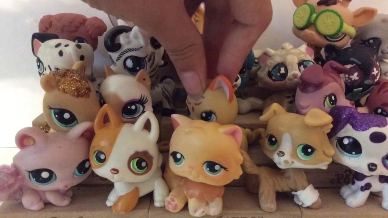 LPS mv you belong with me (ft. LPS Ginger) - YouTube