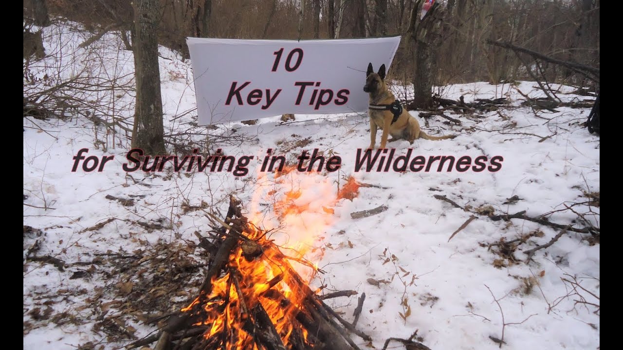 Key Tips for Surviving in the Wilderness - YouTube