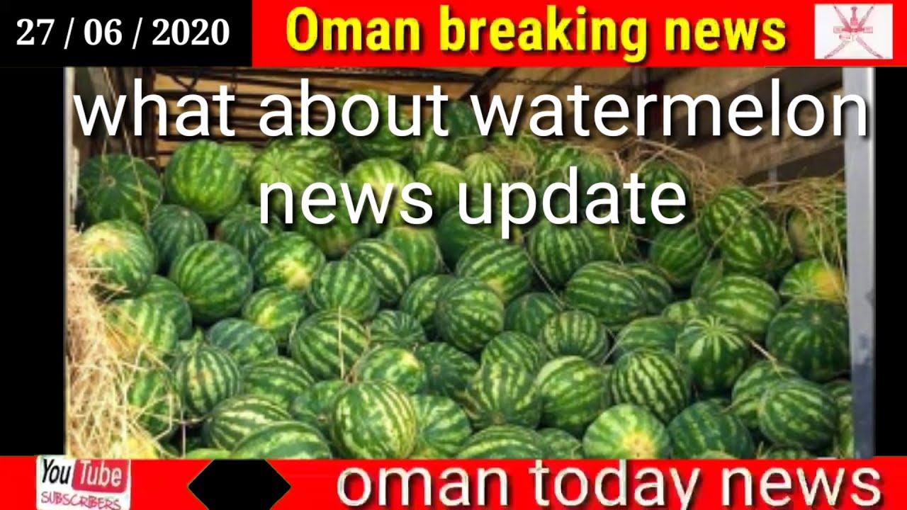 Oman news / what about watermelon news update news Oman - YouTube