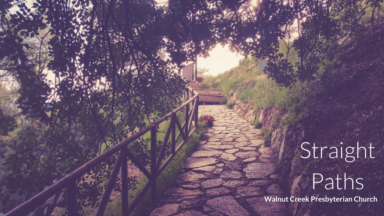 Straight Paths - YouTube