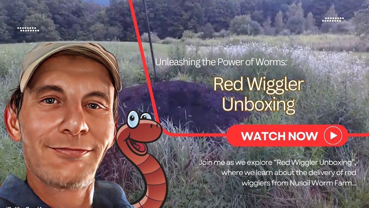 Unboxing Red Wigglers - YouTube