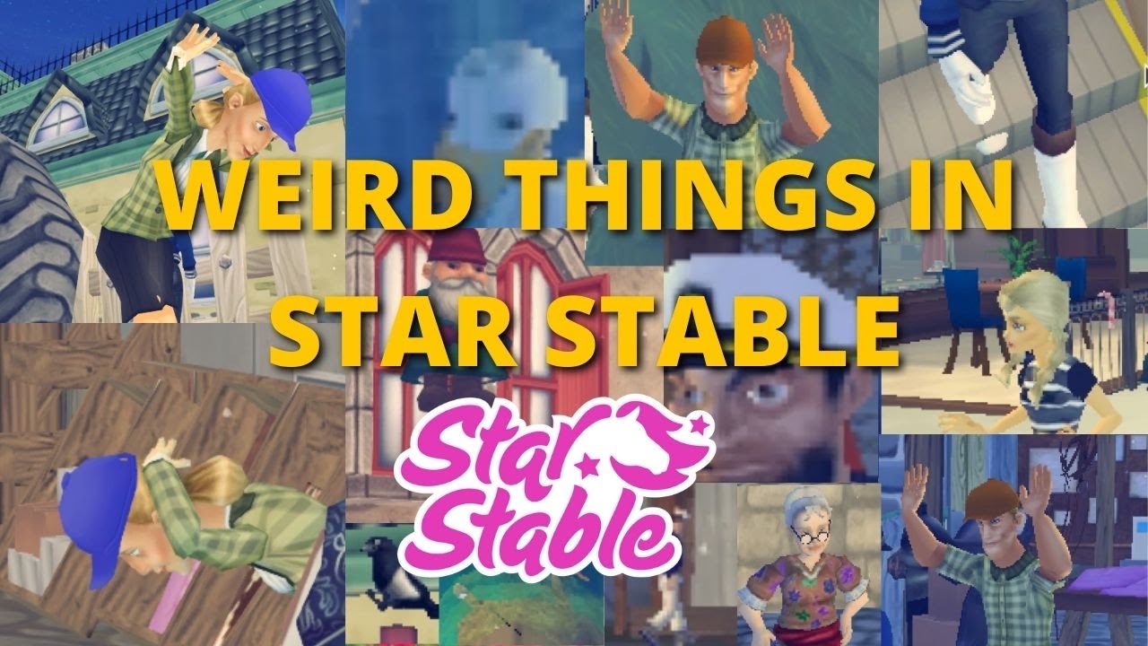 WEIRD AND FUNNY THINGS IN SSO! Star Stable Online 😂 - YouTube