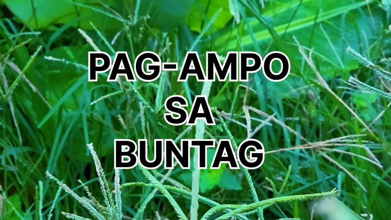 Pag-ampo sa Kabuntagon Bisaya Version - YouTube