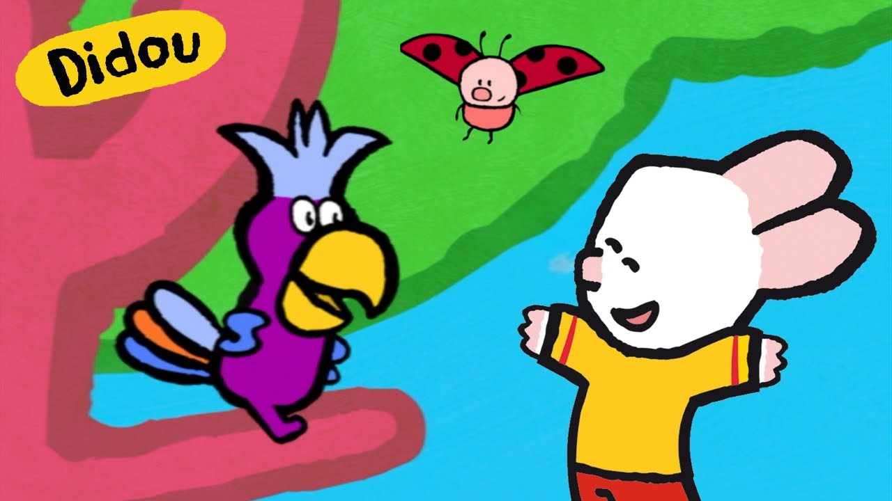 Didou dessine moi : Un Perroquet 🦜 | Compilation Enfants - YouTube