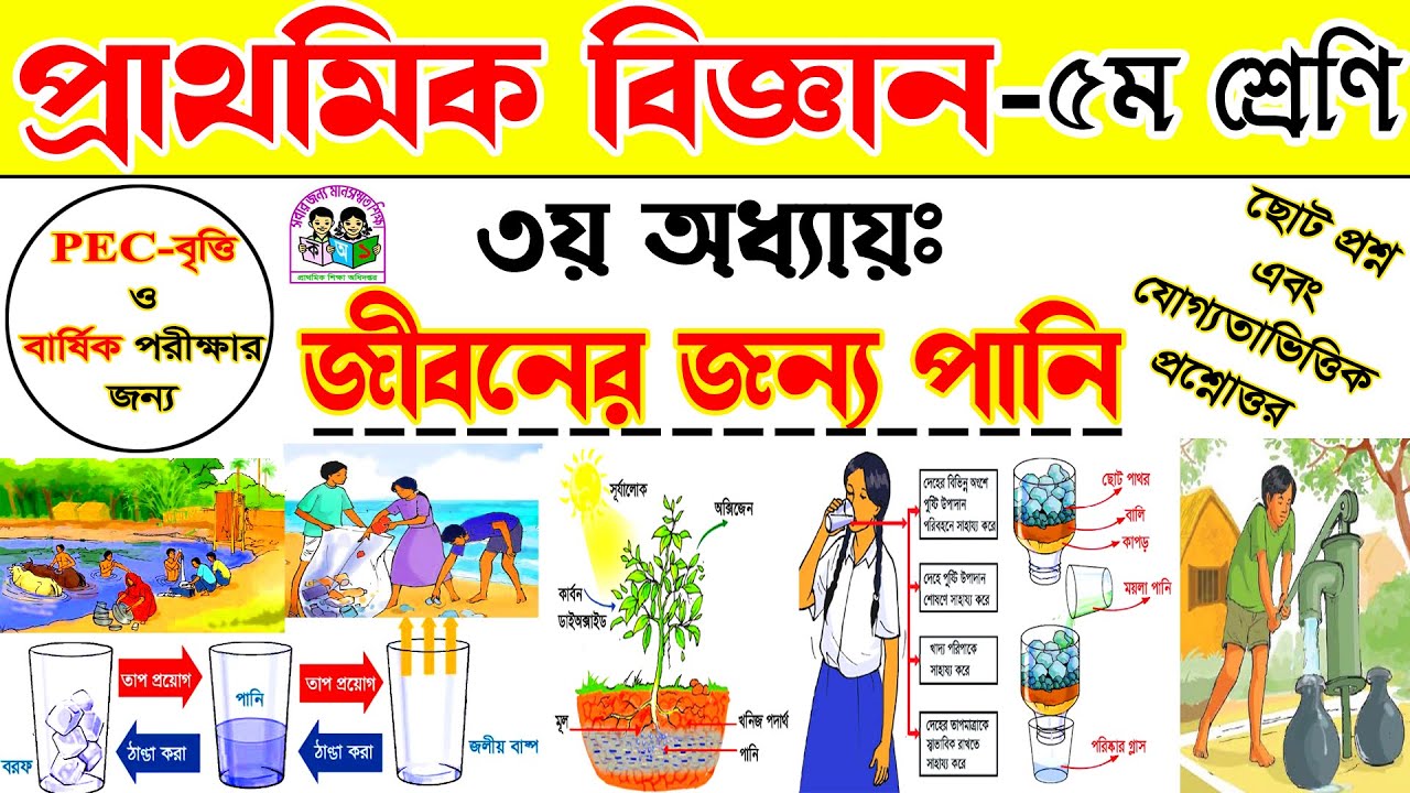 Class 5 Science Chapter 3 Solution।৫ম শ্রেণির বিজ্ঞান অধ্যায় ৩ ।জীবনের ...