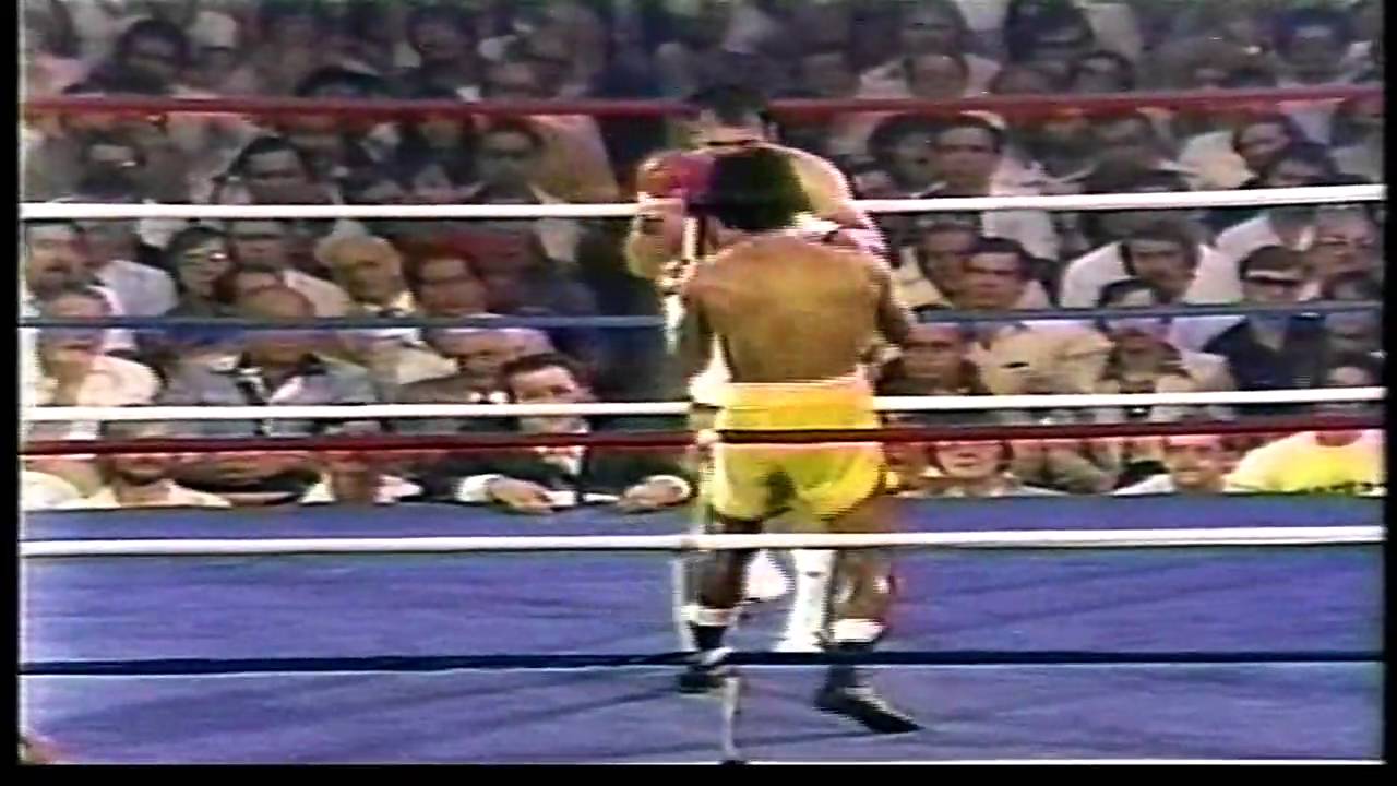 CARLOS ZARATE VS GUADALUPE (LUPE) PINTOR 3/5 - YouTube