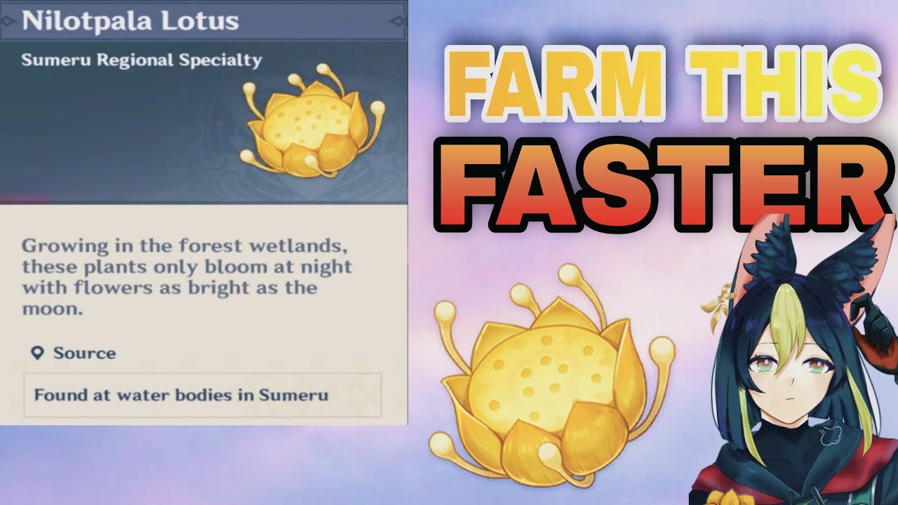 How To Farm Nilotpala Lotus Quickly #Sumeru #genshinimpact - YouTube