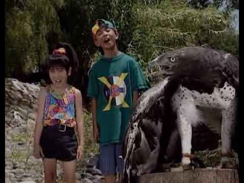 Kidsongs if we could talk to the animals - YouTube