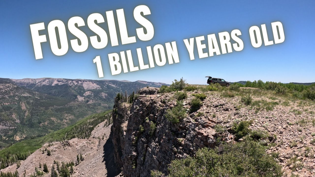 Billion Year Old Fossils in Utah! - YouTube
