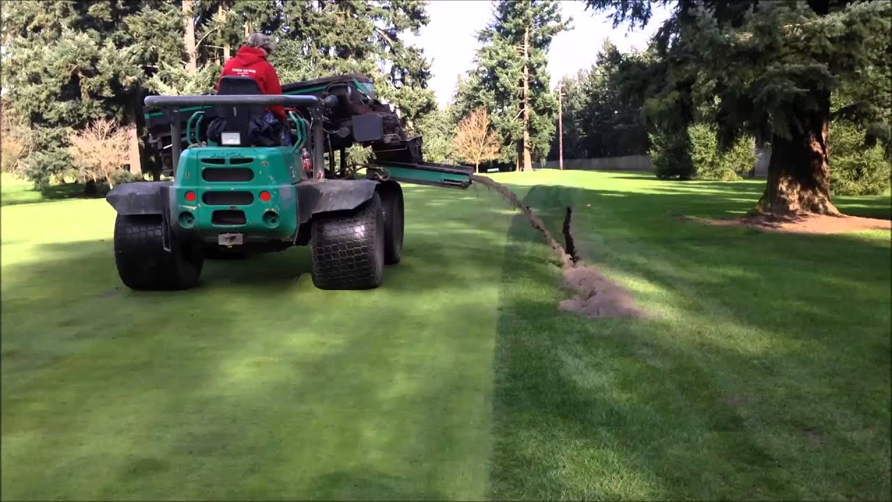 Root Pruning - YouTube