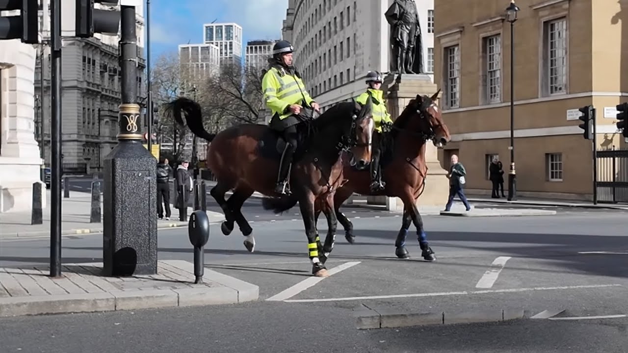 Great Horsemanship!! Mounted Police keep agitated horse under control ...