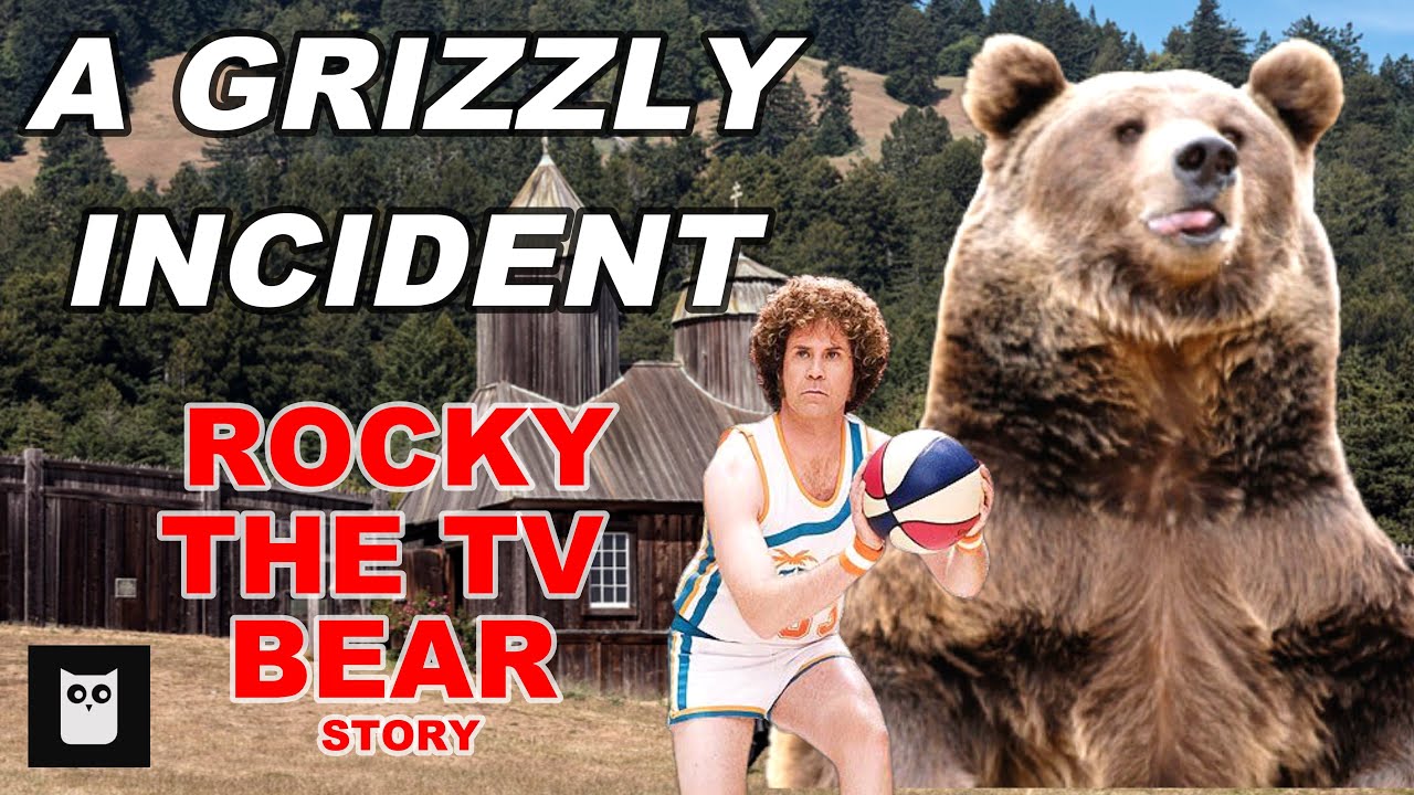 Rocky the TV Bear Tragedy - YouTube