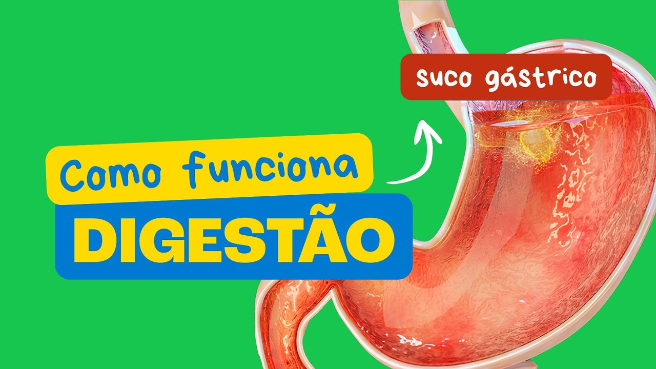 O Segredo da Digestão dos Alimentos - YouTube