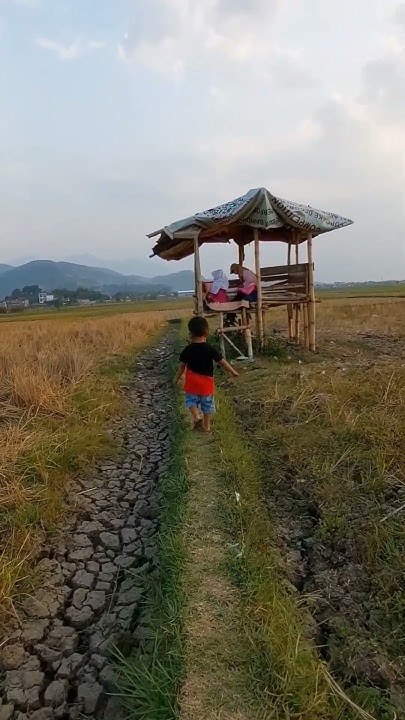 Jalan-jalan ke sawah ,duduk di saung tengah sawah #shorts - YouTube