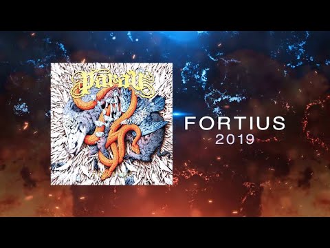 VISUAL LOOPS for LAUNCHING FORTIUS ALBUM - PARAU BAND - YouTube