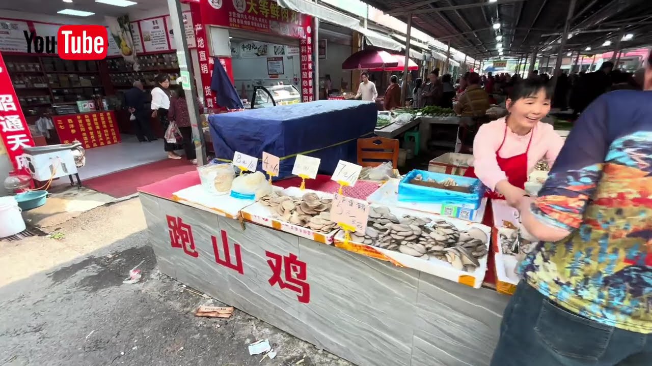 Zengjia Town, Chongqing, China, A nice place. - YouTube