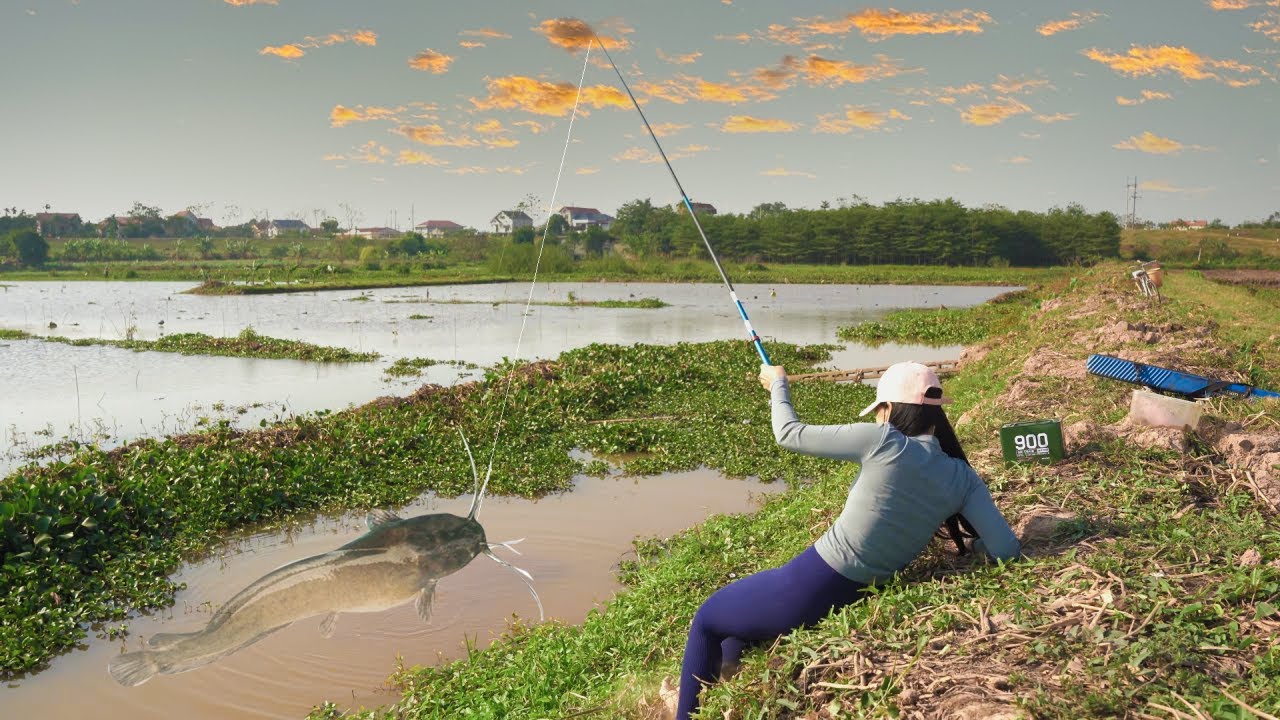 Beautiful Girl Fishing | Hunting Giant Fish In The Wild Canal - YouTube